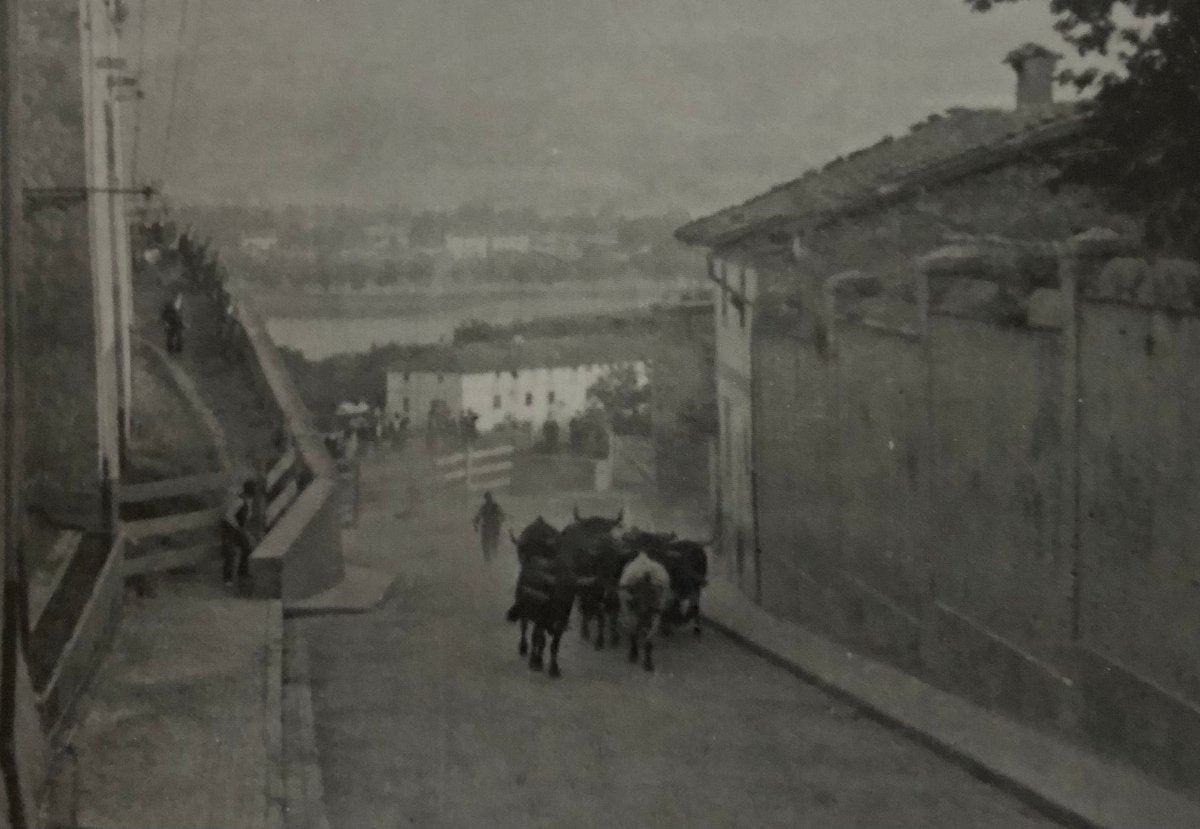 Ernest Hemingway (Running the Bulls) print in colors - FineArt Vendor