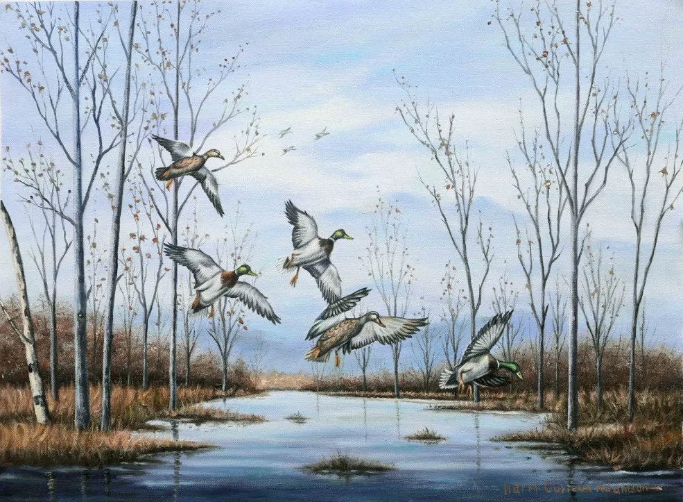 Harry Adamson, Mallards in Flight, Original Oil on Canvas — FineArt Vendor