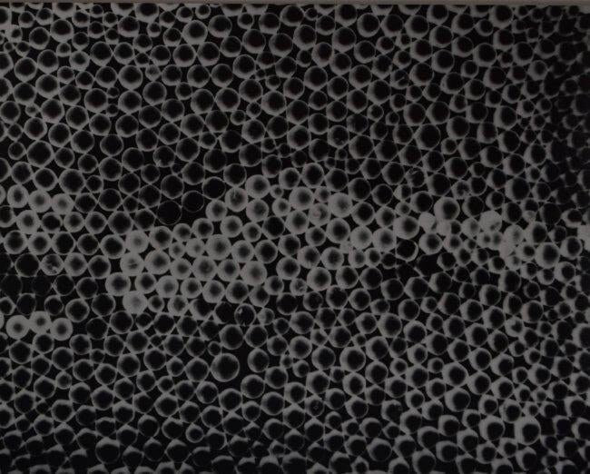 Man Ray - Reflections, 1929 - FineArt Vendor